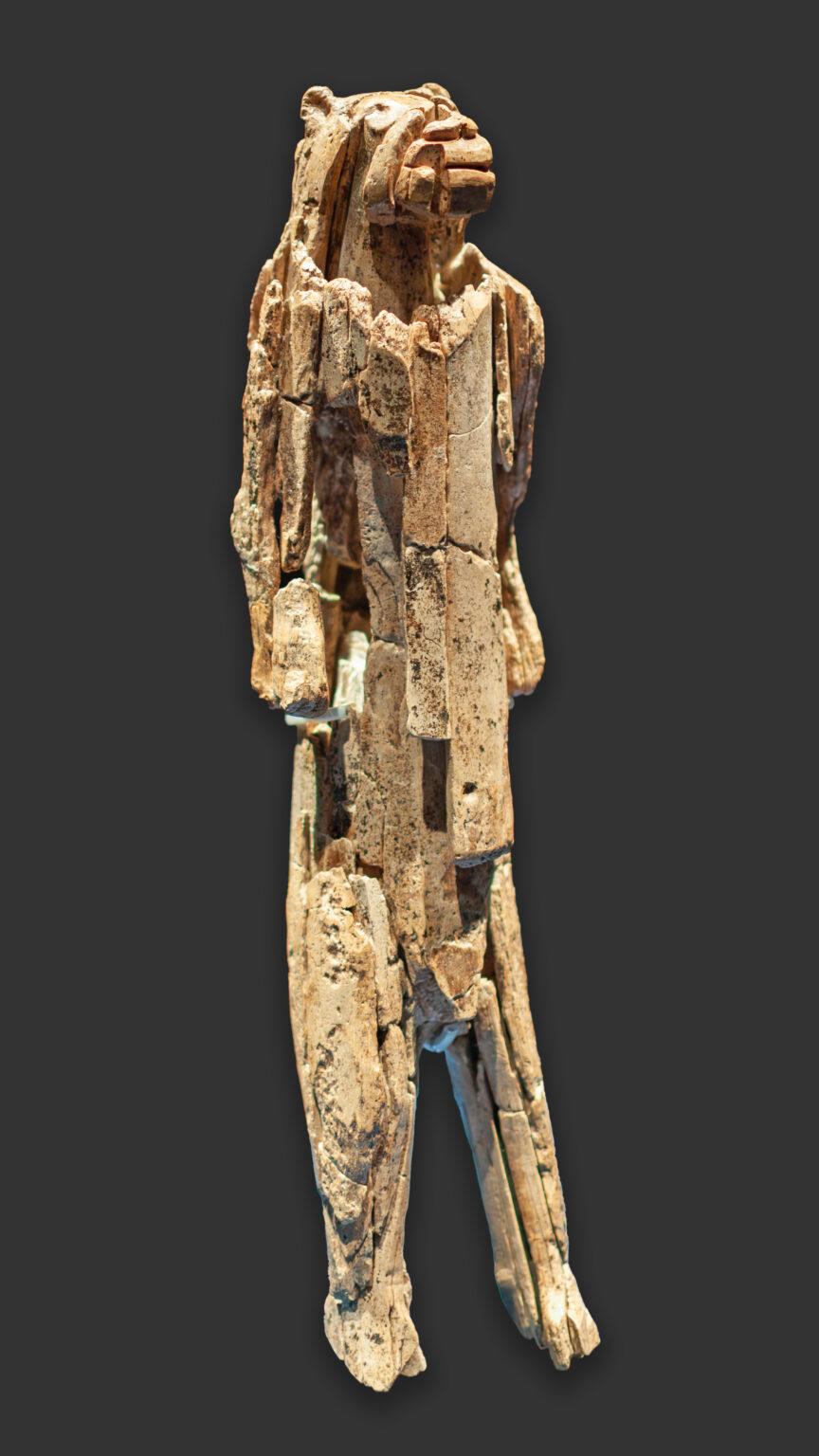 Lion Man: Decoding an Ice Age Ivory Vision - History's Mysteries 3.14