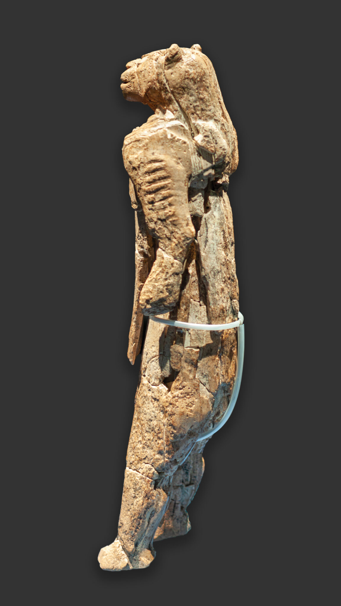 Lion Man: Decoding an Ice Age Ivory Vision - History's Mysteries 3.14