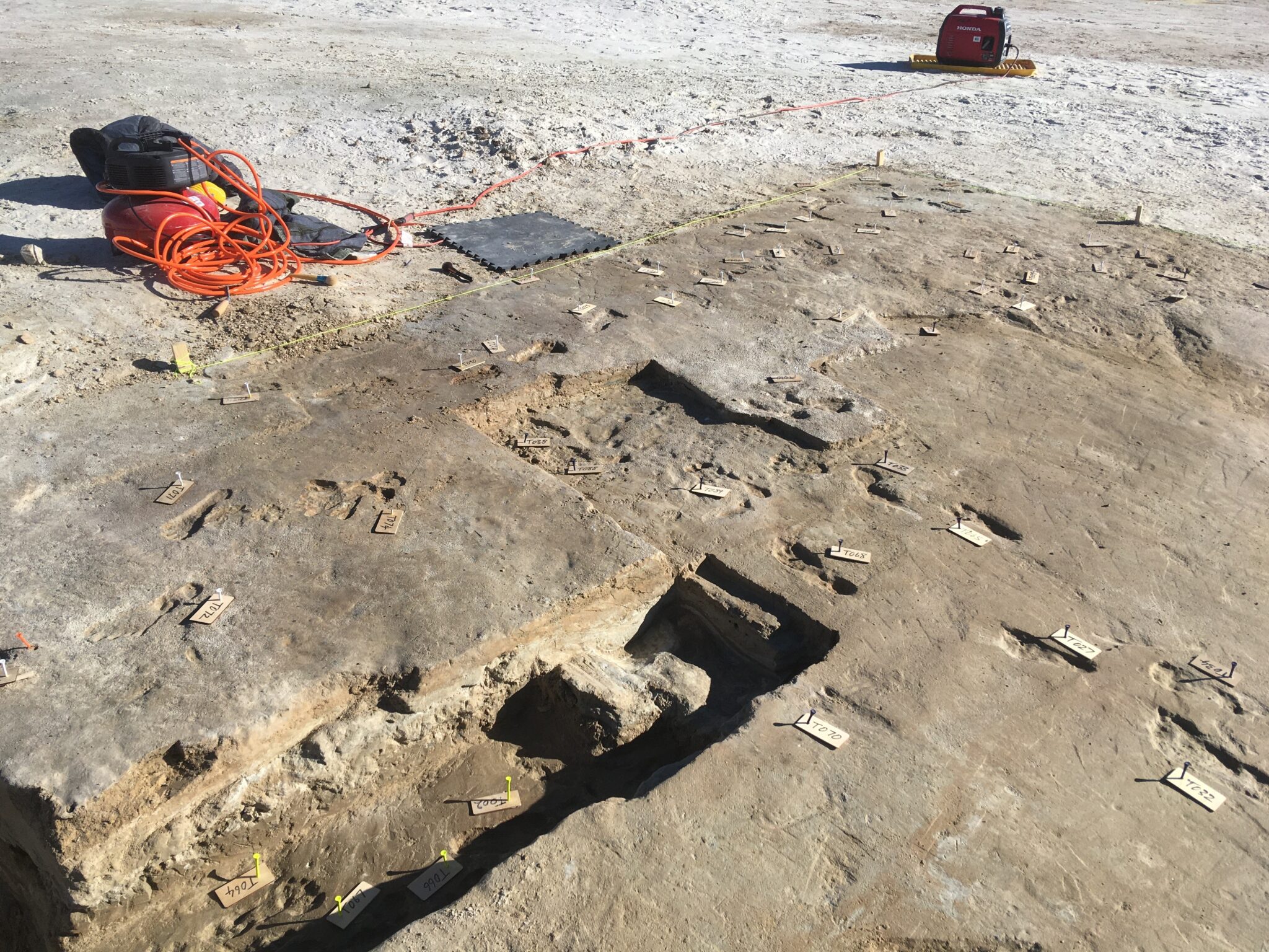 The White Sands Fossil Footprints: Changing the Story of Early Humans ...
